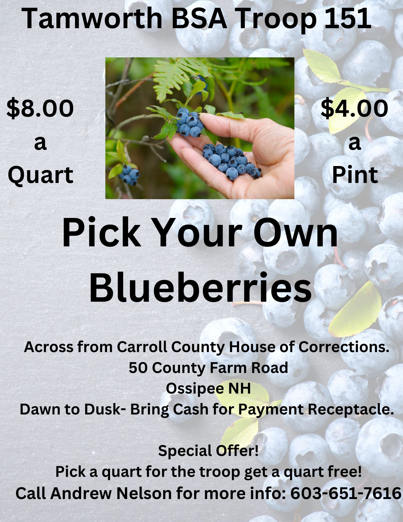 Carroll County, NH | Official Website